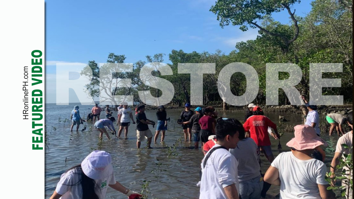 [Video] Successful Launch of Mangroves-Tree Planting Week 1: Restoring Our Seas, Restoring Our ...